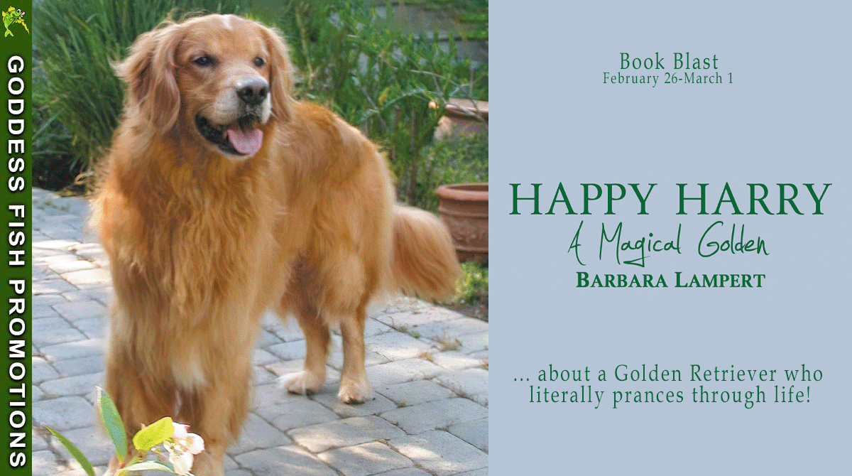 Happy Harry: A Magical Golden by Barbara Lampert – Spotlight and Giveaway
